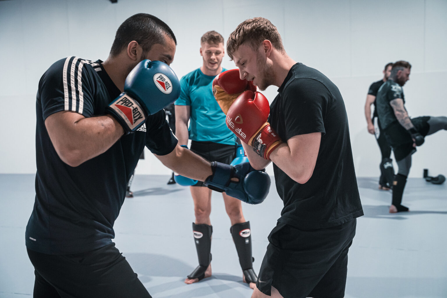 Kickboxing - Immortal Martial Arts